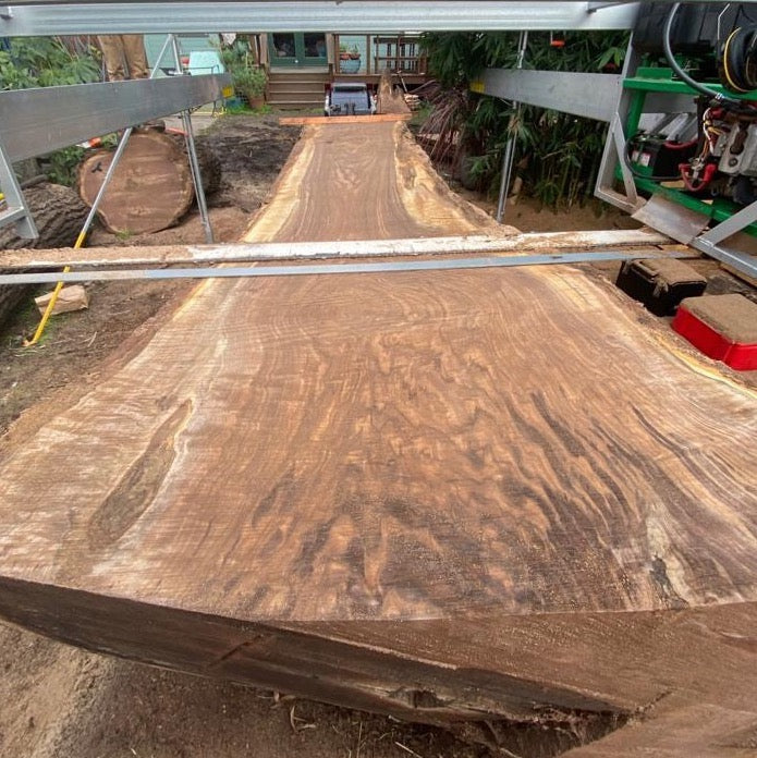 Repurposing fallen trees: pros and cons of getting your logs milled ...