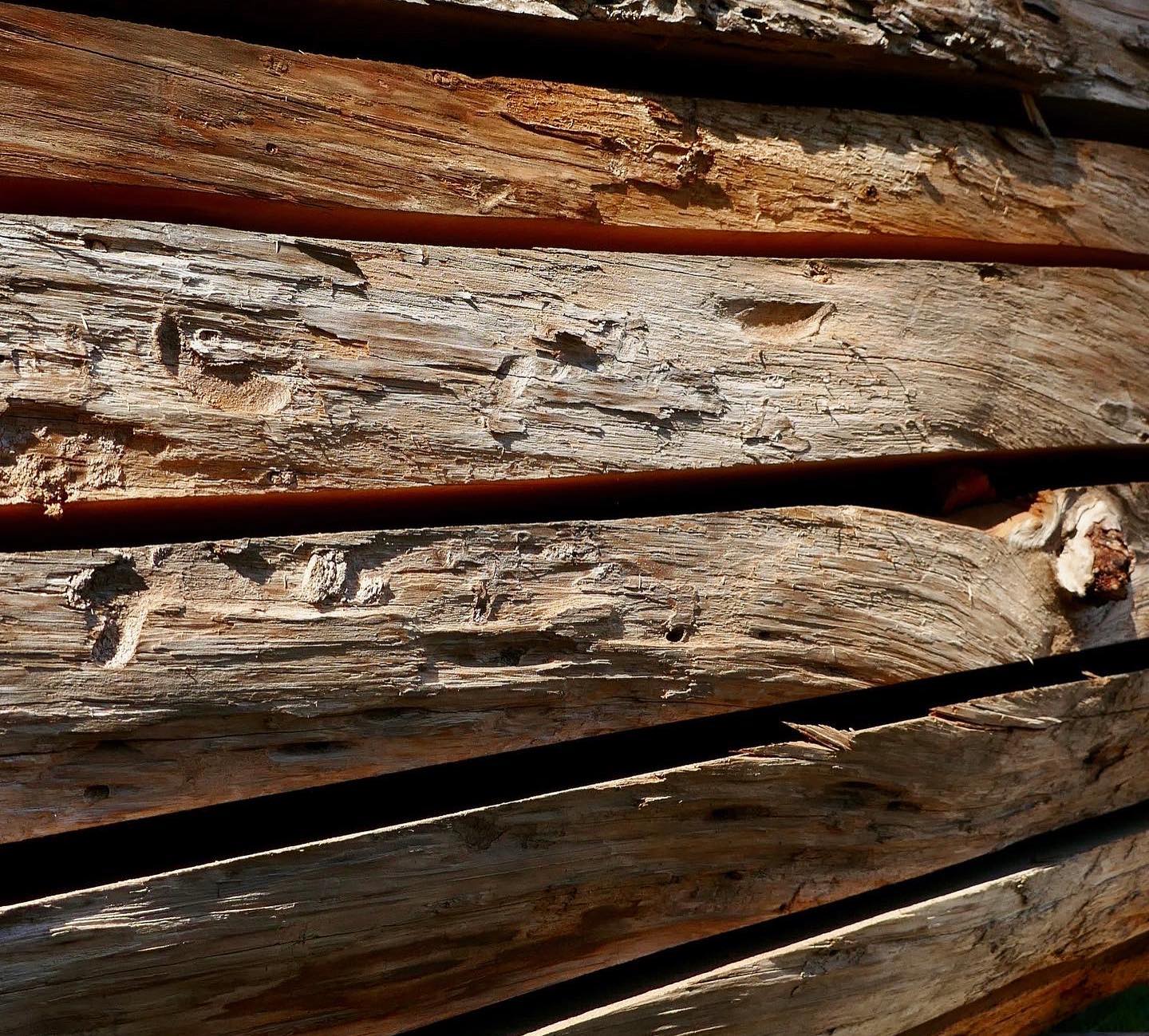 Wait and save – Lively Lumber