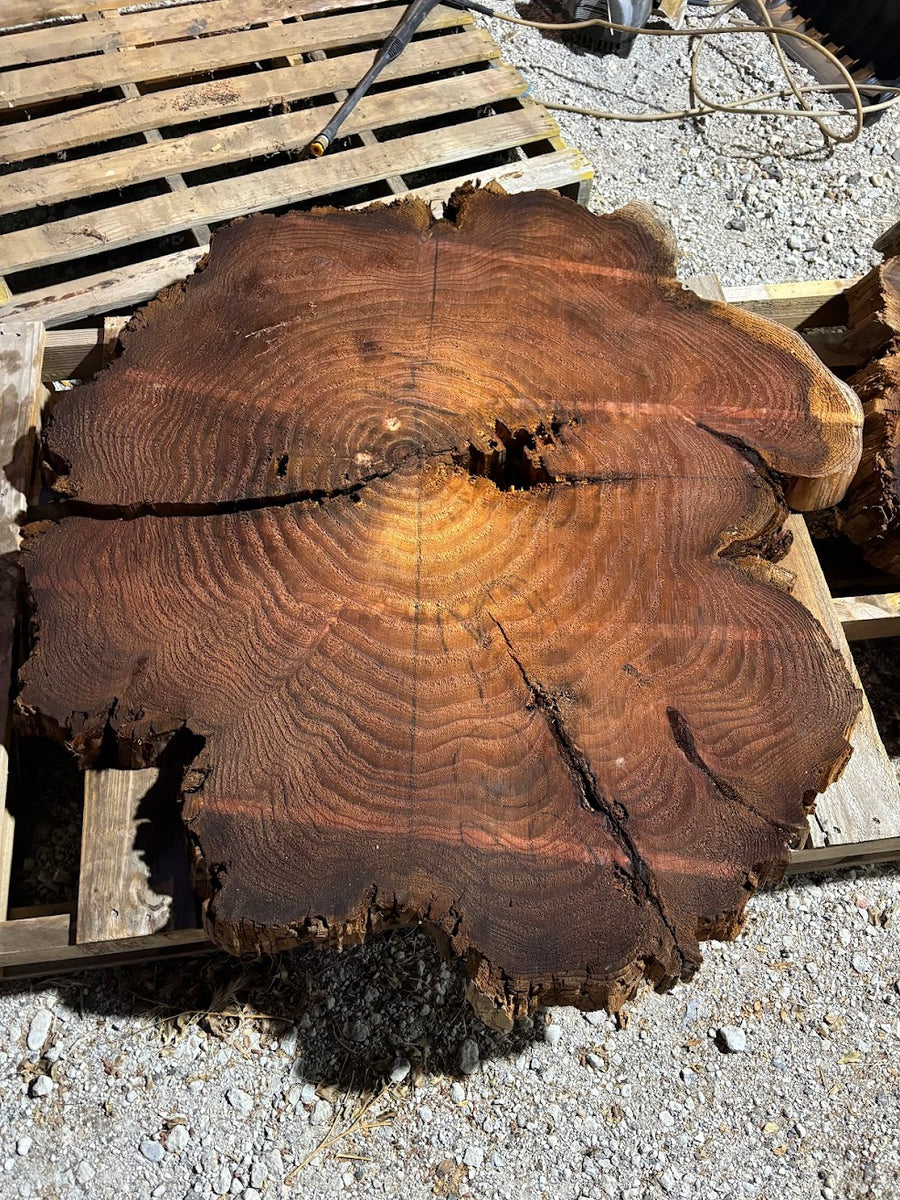 Giant sequoia live edge cookie slab 30-3 – Lively Lumber
