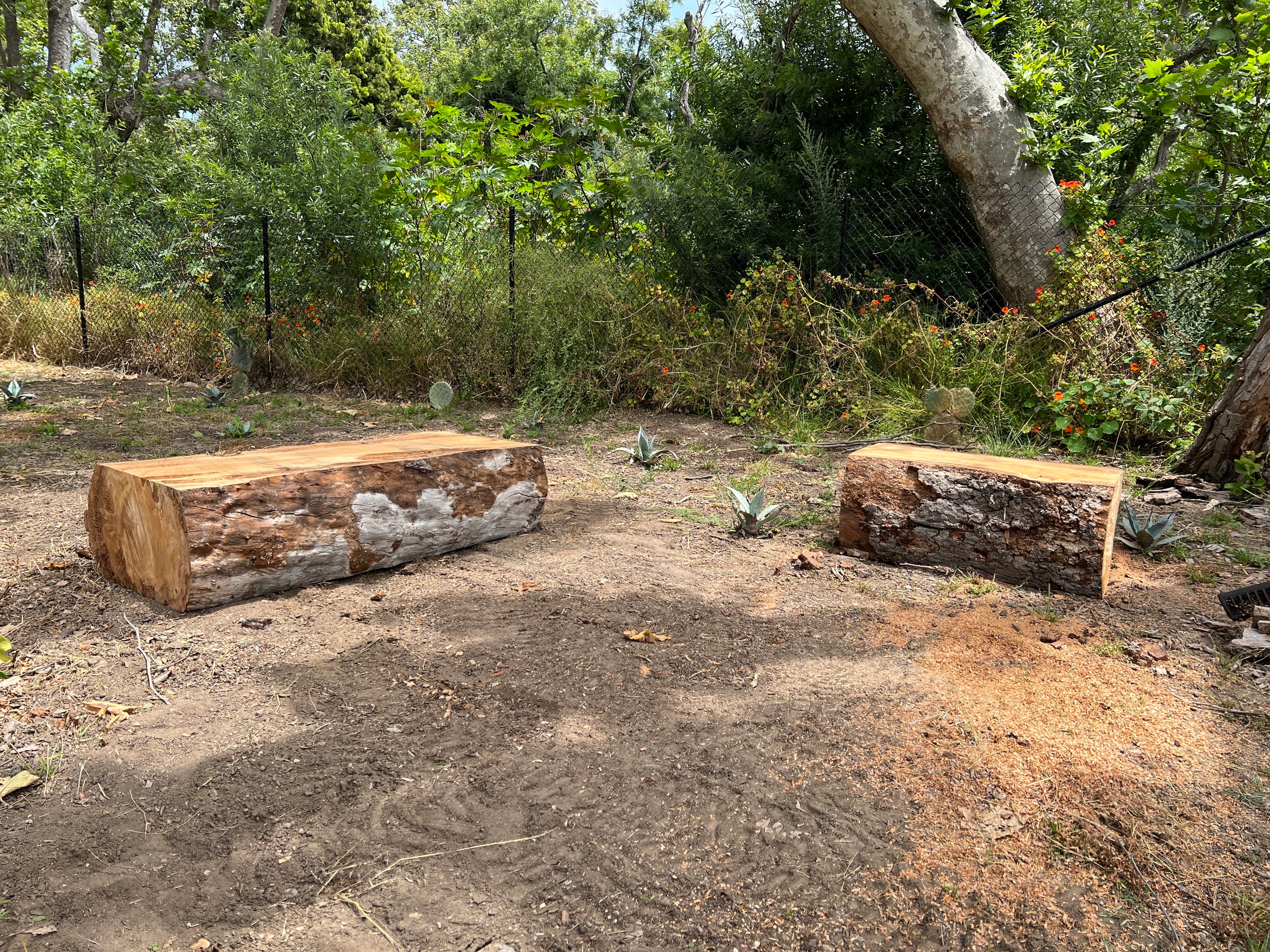 Log benches – Lively Lumber