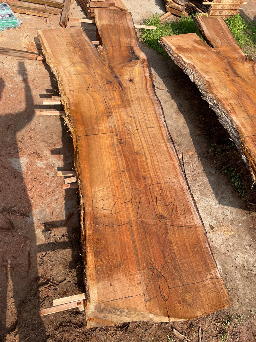 Black Acacia Slab 22-4 – Lively Lumber